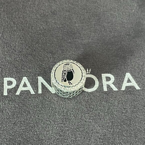 Pandora | Jewelry | Pandora Aruba Birds Strigiformes Exclusive Charm ...